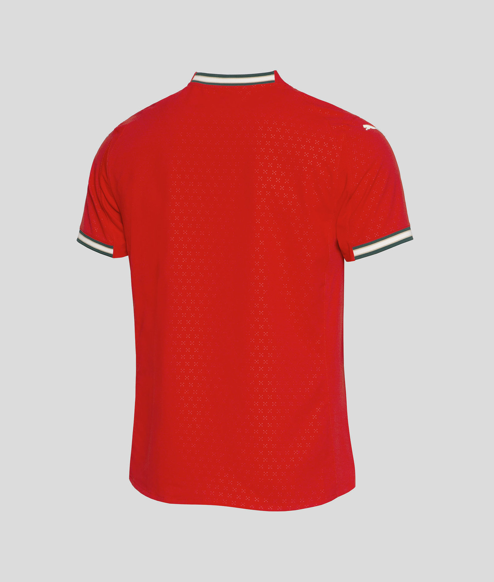 Camisola Principal Authentic 2025 | Portugal Store